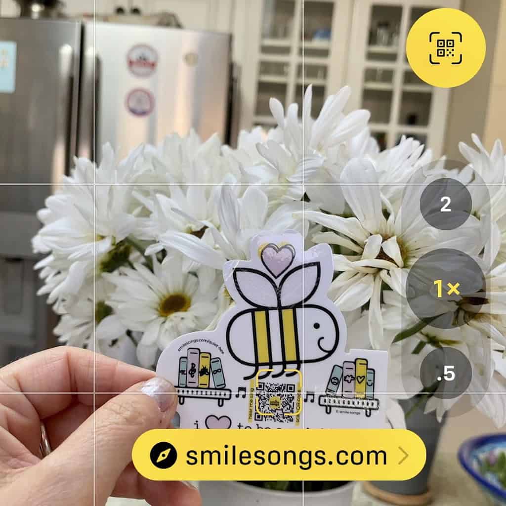 Quiet Bee – Smile Songs